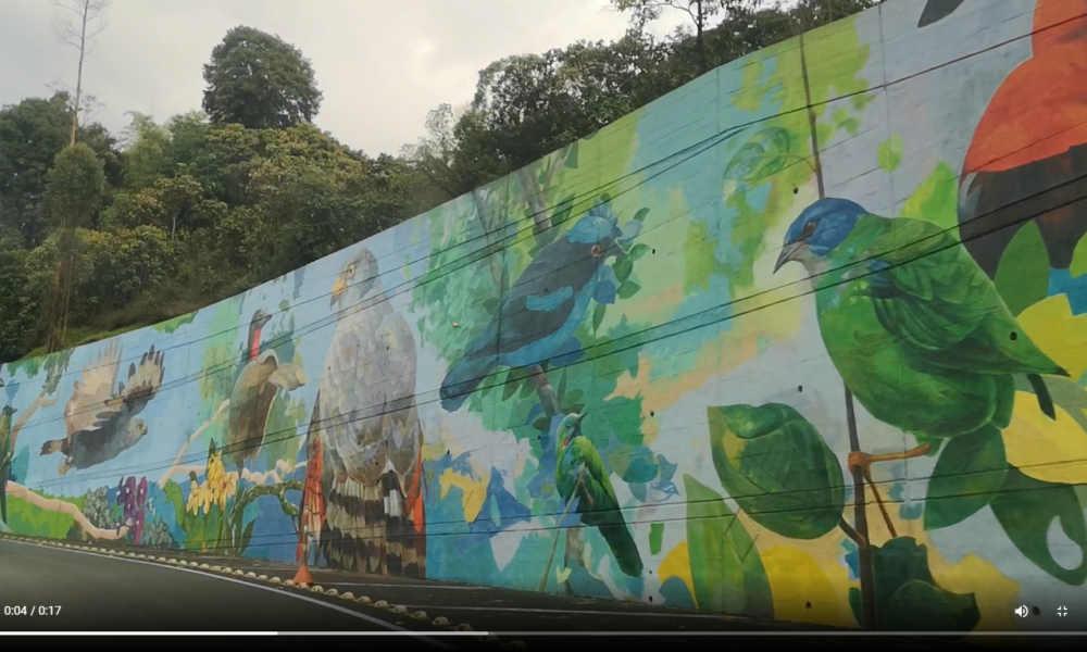 En Risaralda está el mural de aves más grande de Colombia – Entérate ...